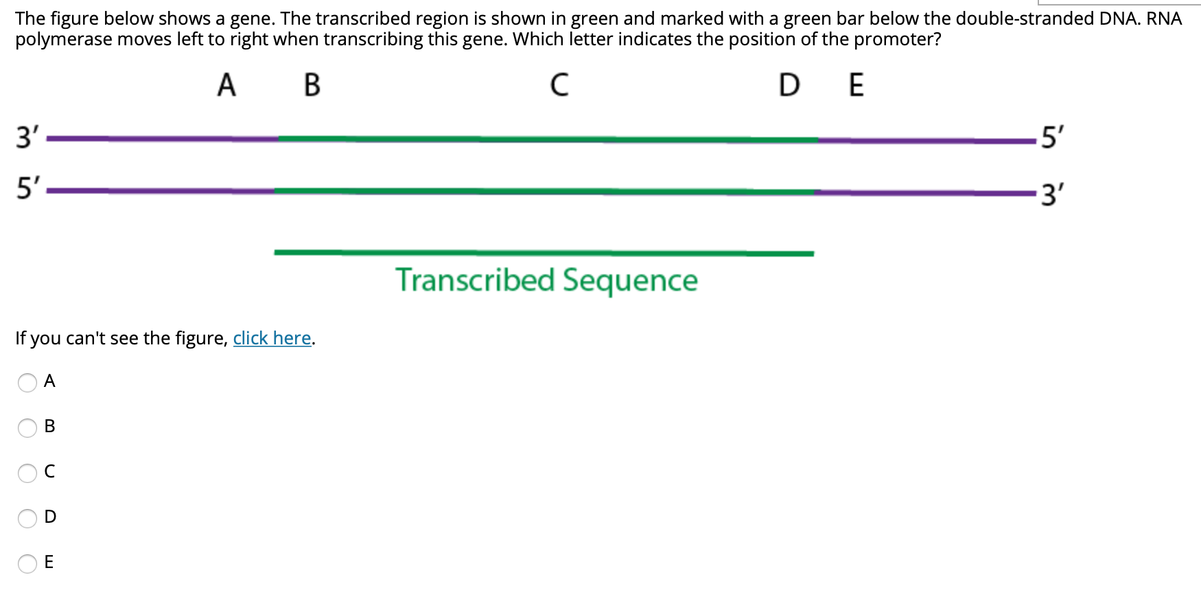Solved The figure below shows a gene. The transcribed region | Chegg.com