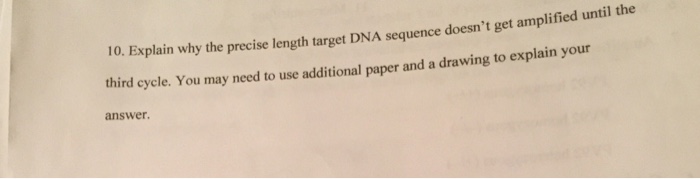 Solved 10. Explain why the precise length target DNA | Chegg.com