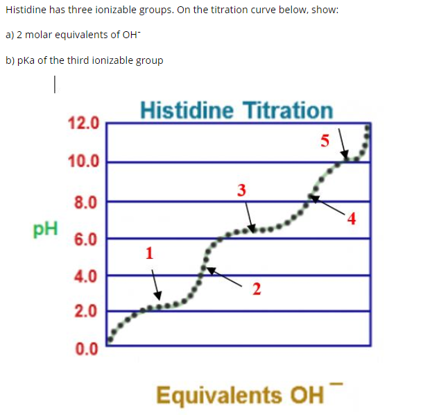 Solved Histidine has three ionizable groups. On the | Chegg.com