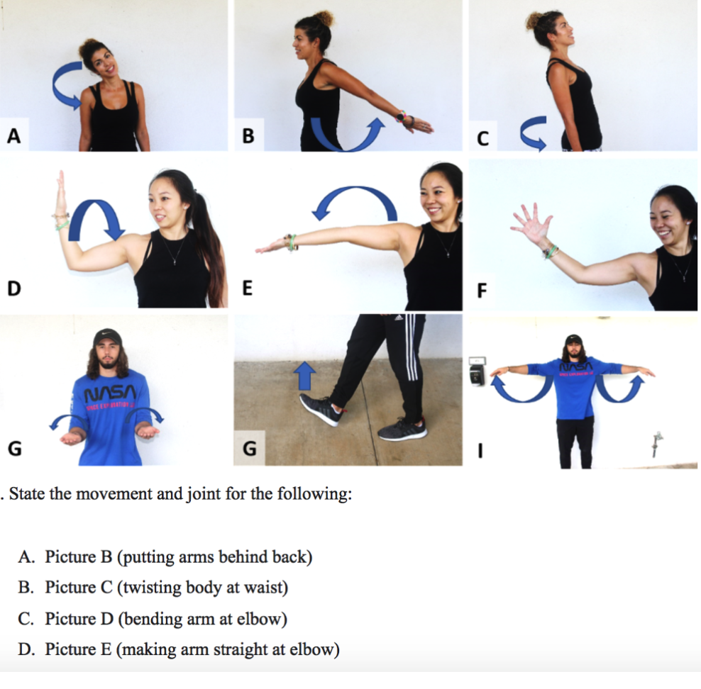 Solved State the movement and joint ror tne rollowing: A. | Chegg.com