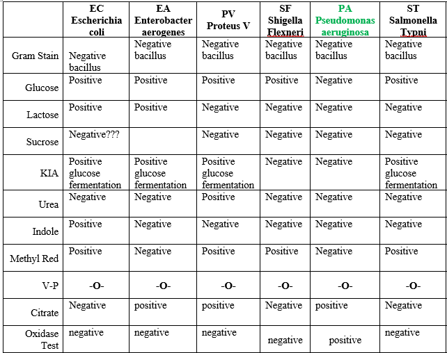 Solved EC EA Escherichia Enterobacter coli aerogenes | Chegg.com