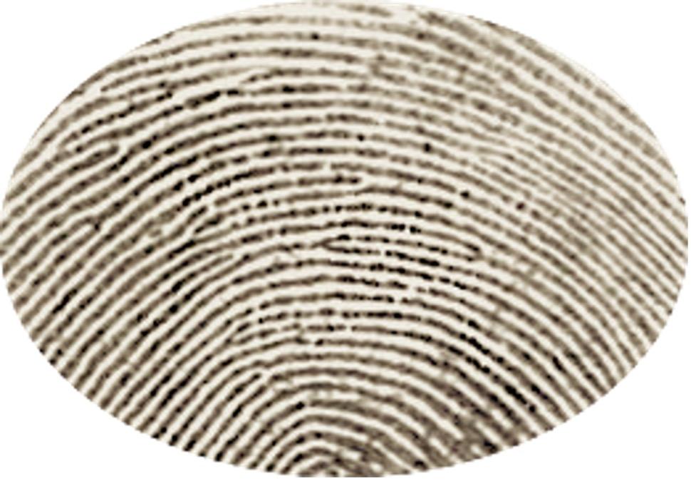 Solved Does this partial print belong to any of the prints | Chegg.com