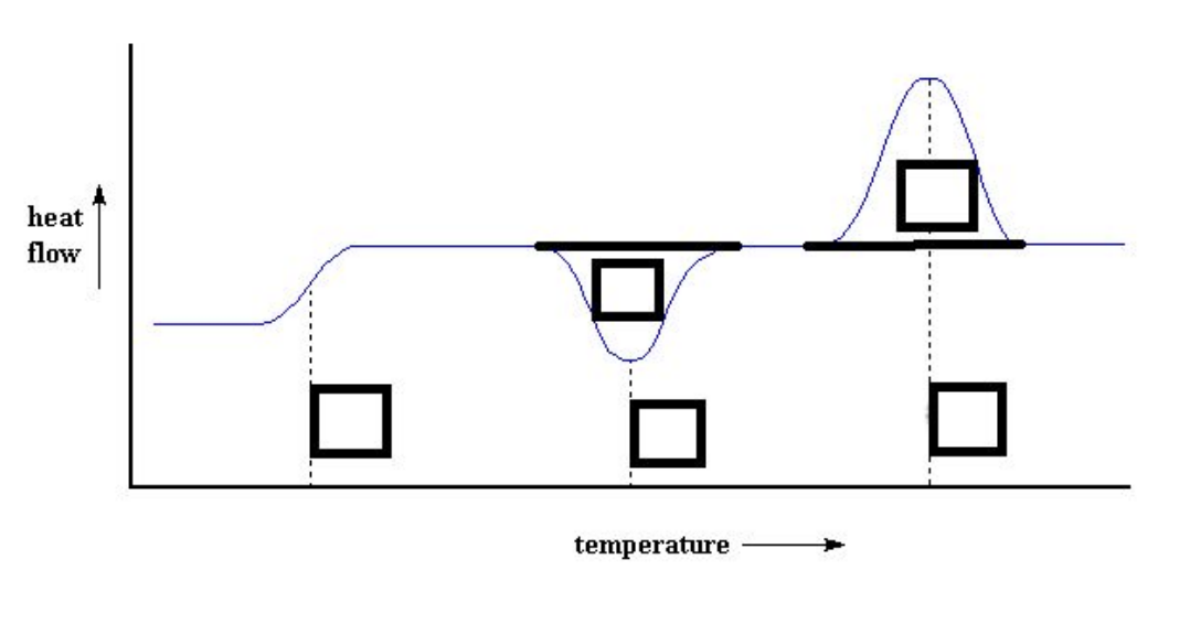 Solved Identify the major thermal events on the DSC heating | Chegg.com