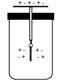 2. In the figures below, show a neutral electroscope | Chegg.com