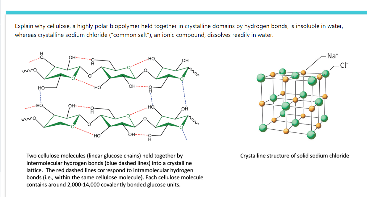 Cellulose Structure Hydrogen Bonds