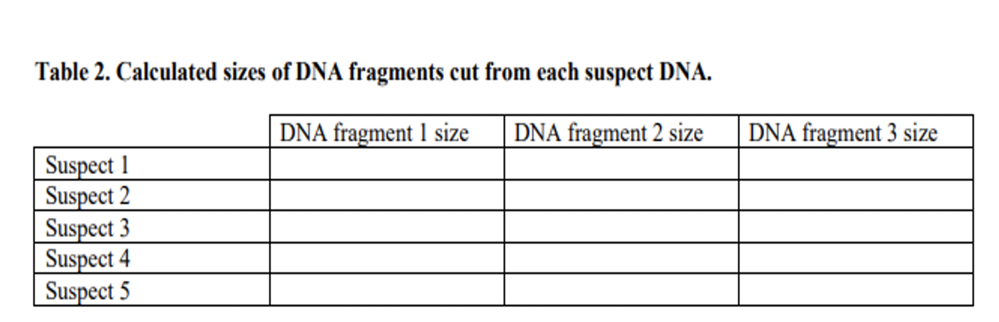 Solved Table 2. Calculated sizes of DNA fragments cut from | Chegg.com