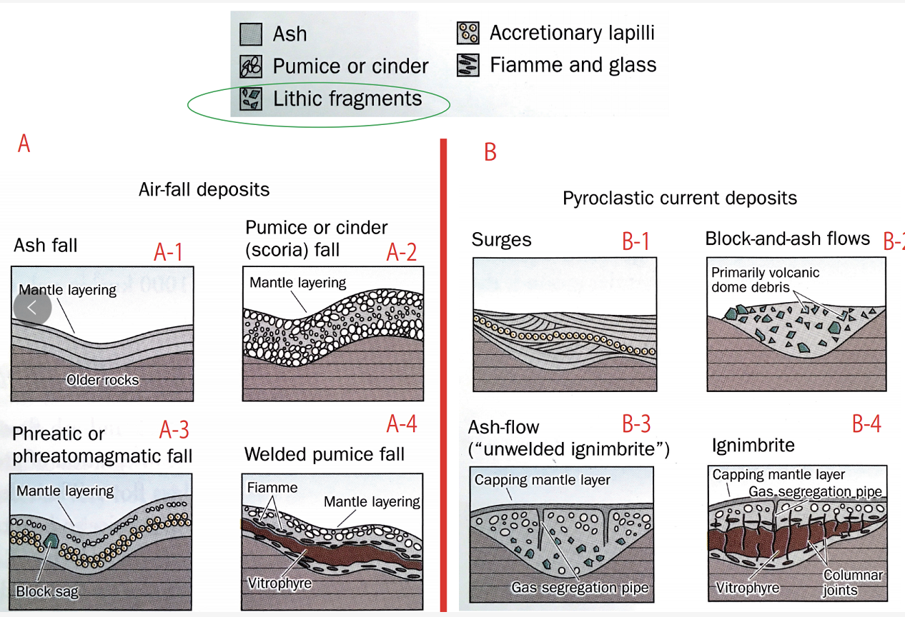 Solved The figure shows the sedimentary structure of the | Chegg.com