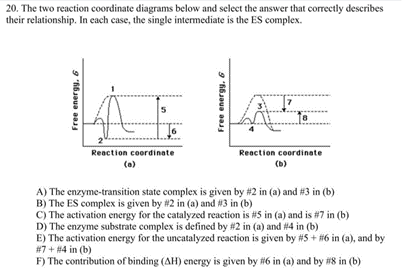 Solved 20. The two reaction coordinate diagrams below and | Chegg.com