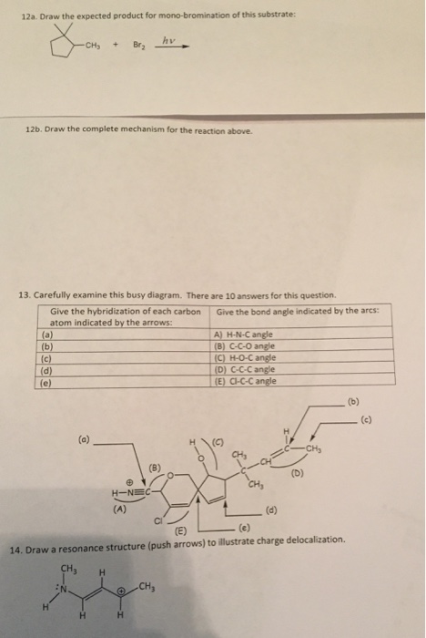 Solved Draw The Expected Product For Mono Bromination Of
