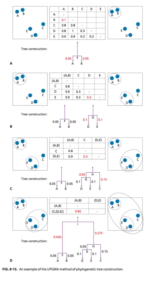 Solved Question 1: Fig 8-13 on page 187 discusses the UPGMA | Chegg.com