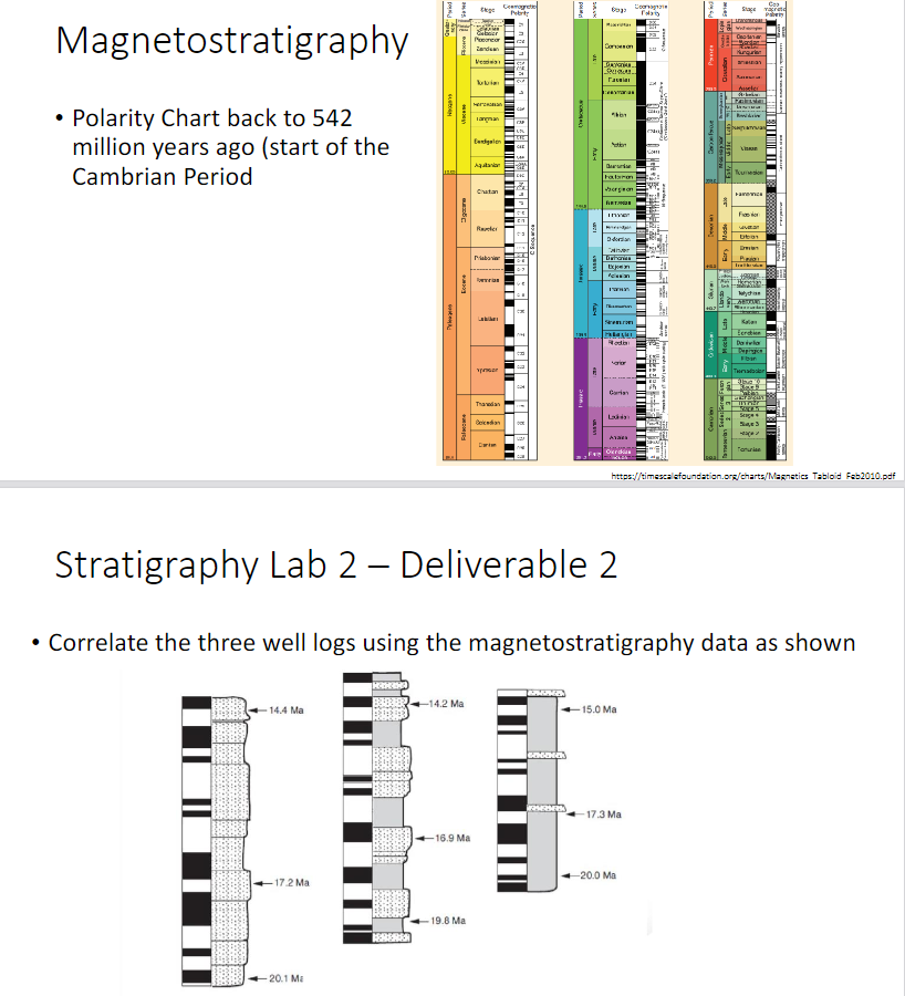 Solved Magnetostratigraphy - Polarity Chart back to 542 | Chegg.com