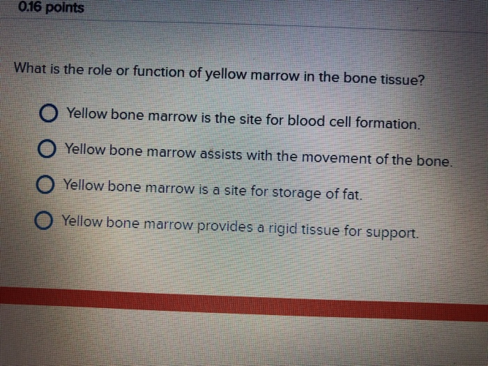Solved 016 points What is the role or function of yellow | Chegg.com