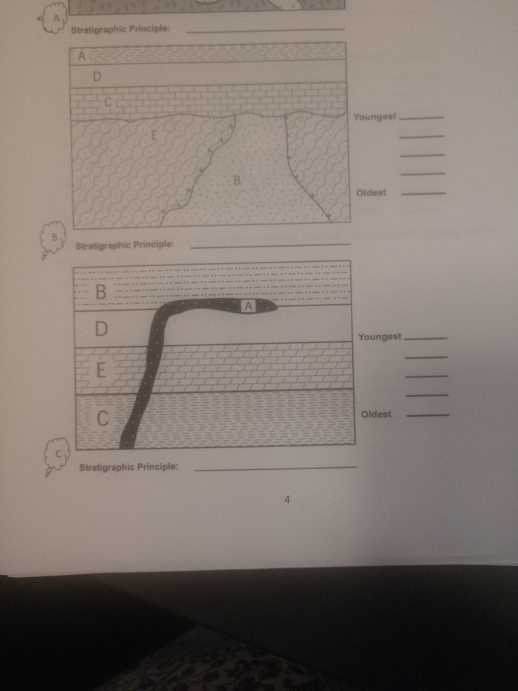Solved Stratigraphic Principles EA Youngest Oldest | Chegg.com