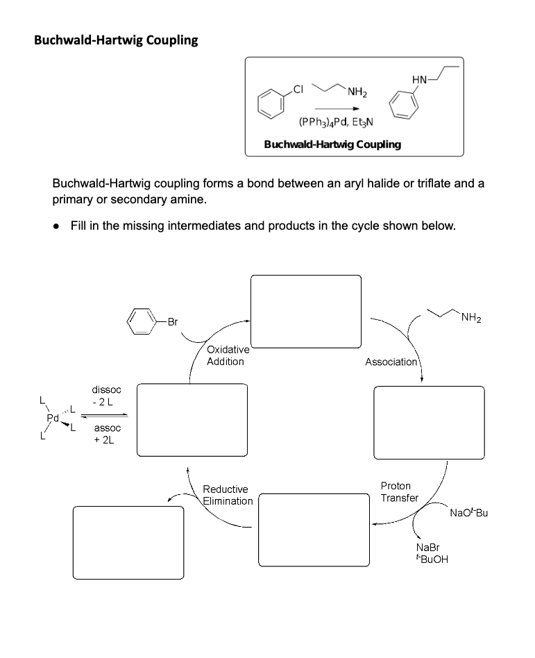 Solved Buchwald-Hartwig Coupling Buchwald-Hartwig coupling | Chegg.com