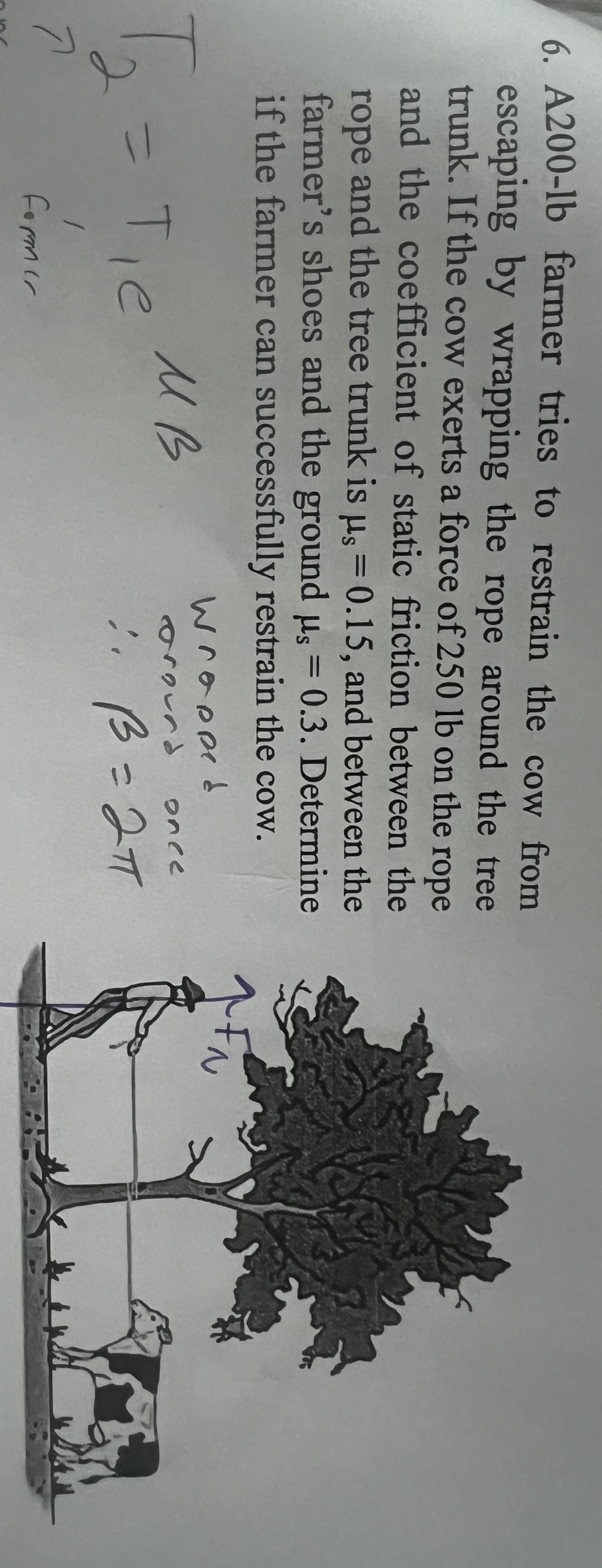 Solved 6. A200-lb farmer tries to restrain the cow from | Chegg.com