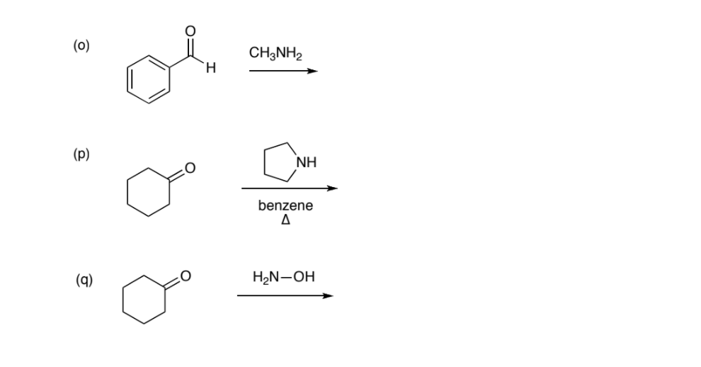 Solved CH3NH2 H (p) NH benzene A (q) H2N-OH | Chegg.com