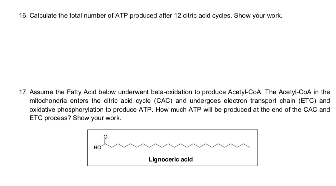 Solved 16. Calculate the total number of ATP produced after | Chegg.com