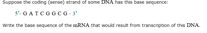 Suppose the coding (sense) ﻿strand of some DNA has | Chegg.com