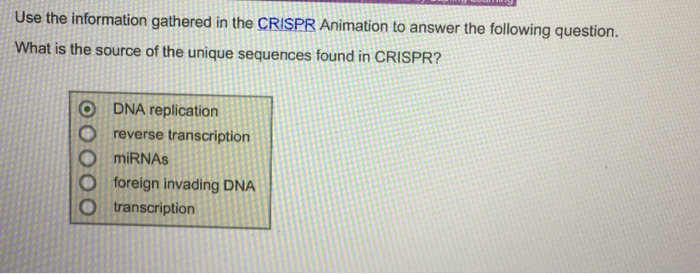 Solved Use the information gathered in the CRISPR Animation | Chegg.com