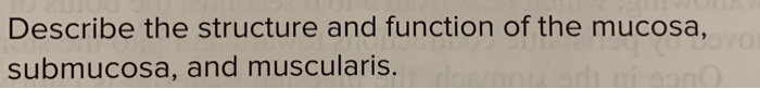 Solved Describe the structure and function of the mucosa, | Chegg.com