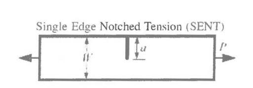 Figure shows the single edge crack notched | Chegg.com