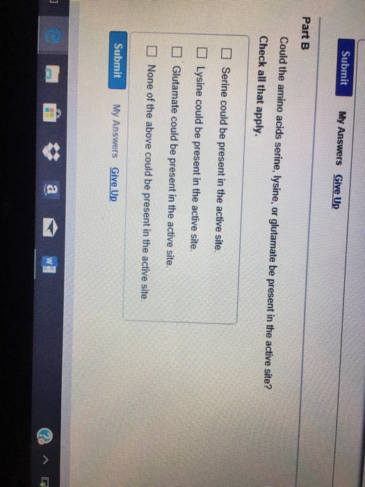 Solved Submit My Answers Give Up Part B Could the amino | Chegg.com