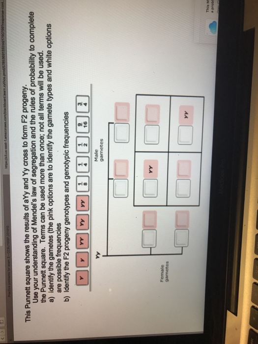 Solved Mendel studied pea plants for varying traits | Chegg.com