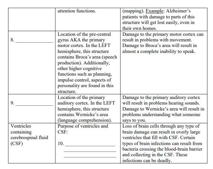 Solved Psyc 002 In-Class Exercise Name: Ch. 3 - Brain | Chegg.com