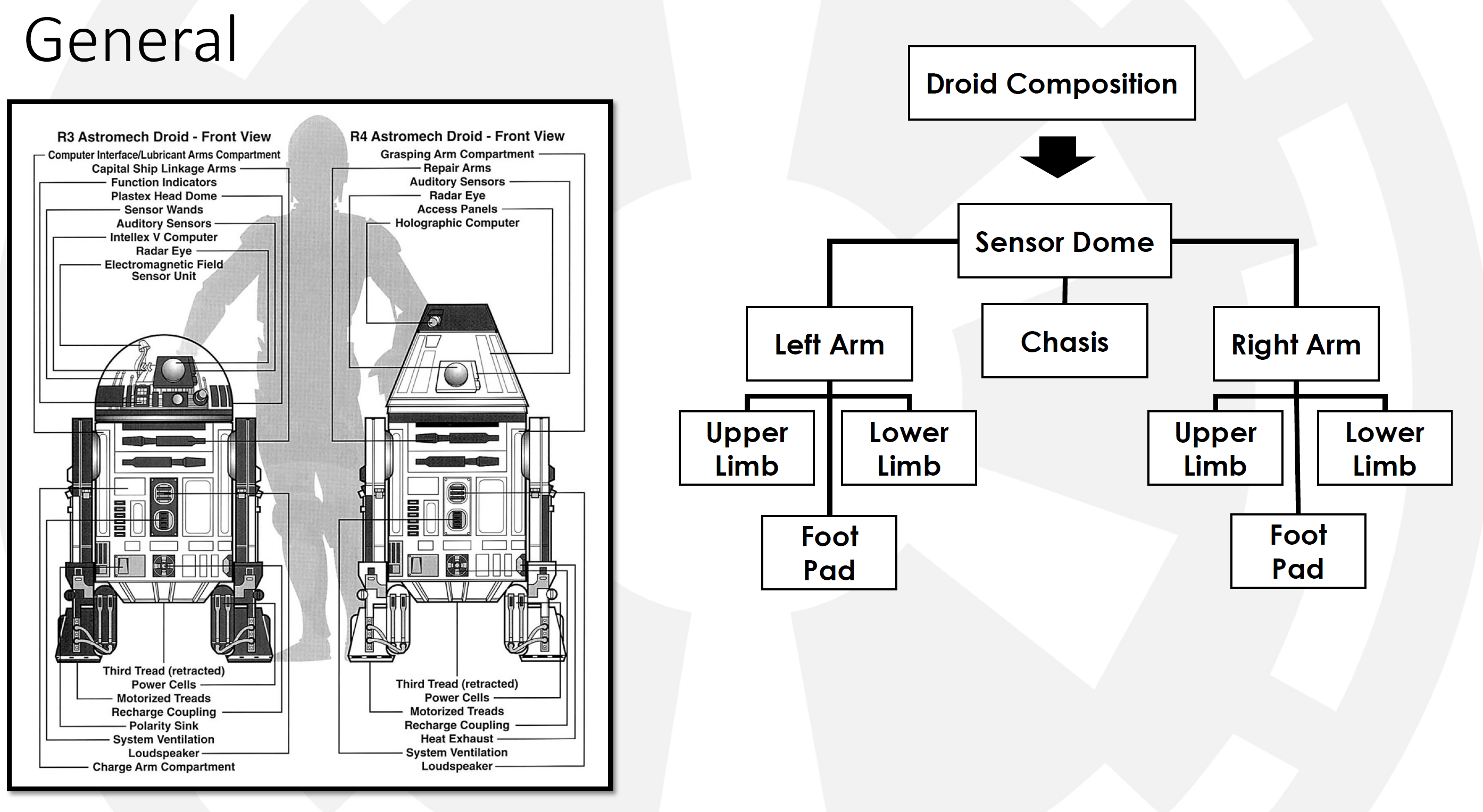 General Droid Composition \begin{tabular}{l} Foot \\ | Chegg.com