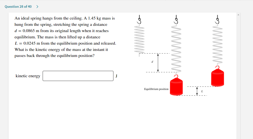 Solved An ideal spring hangs from the ceiling. A 1.45 kg1.45 | Chegg.com