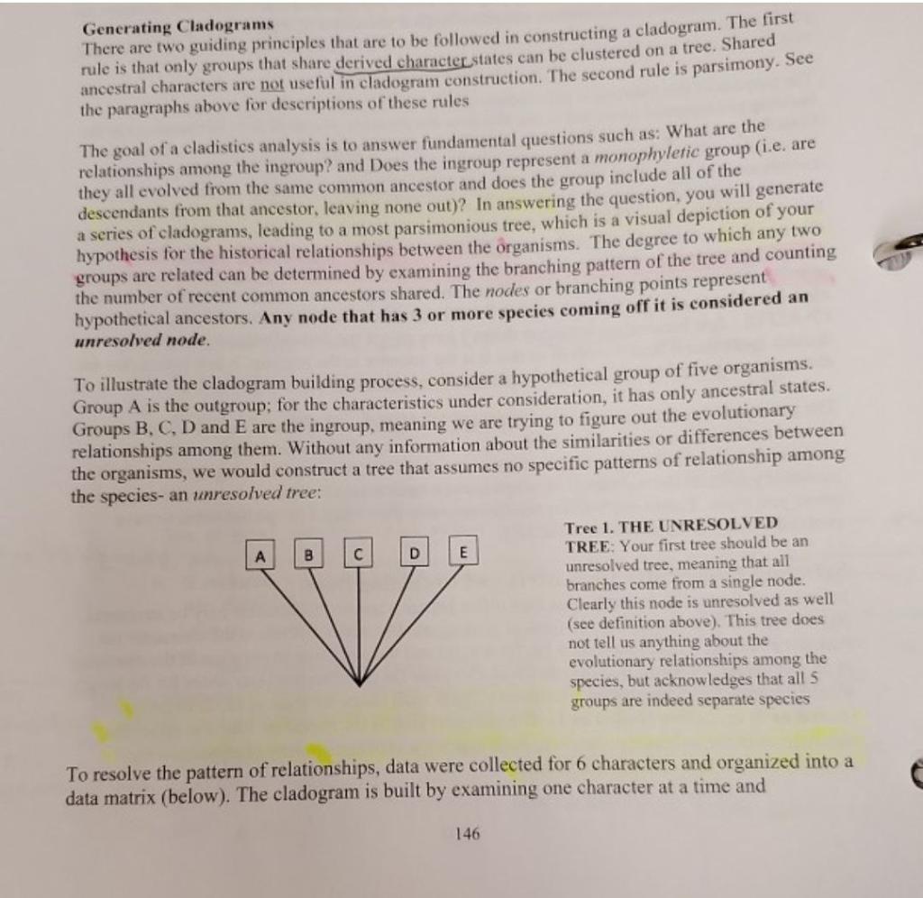 Solved Generating Cladograms There are two guiding | Chegg.com