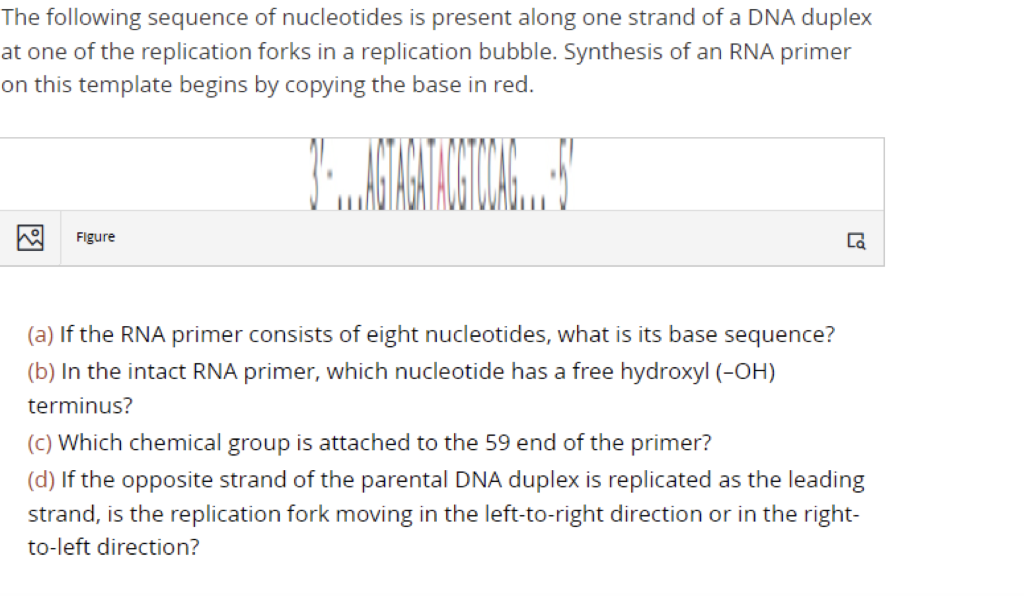 The following sequence of nucleotides is present | Chegg.com