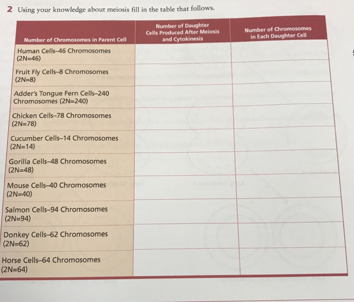 Solved 2 Using your knowledge about meiosis fill in the | Chegg.com