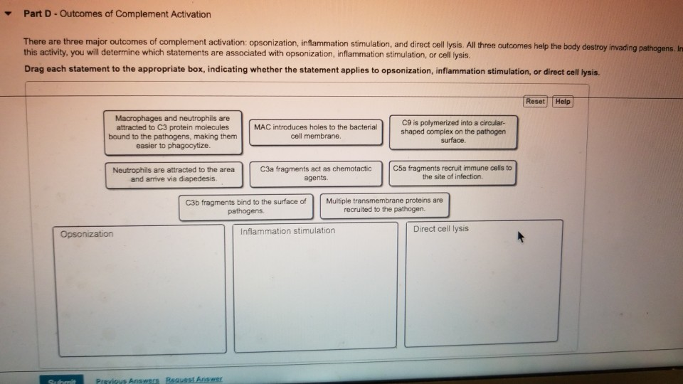 Solved Part D-Outcomes of Complement Activation There are | Chegg.com
