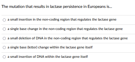 Solved The mutation that results in lactase persistence in | Chegg.com