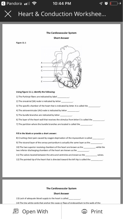 Solved KPandora 10:44 PM X Heart & Conduction Workshe... The | Chegg.com