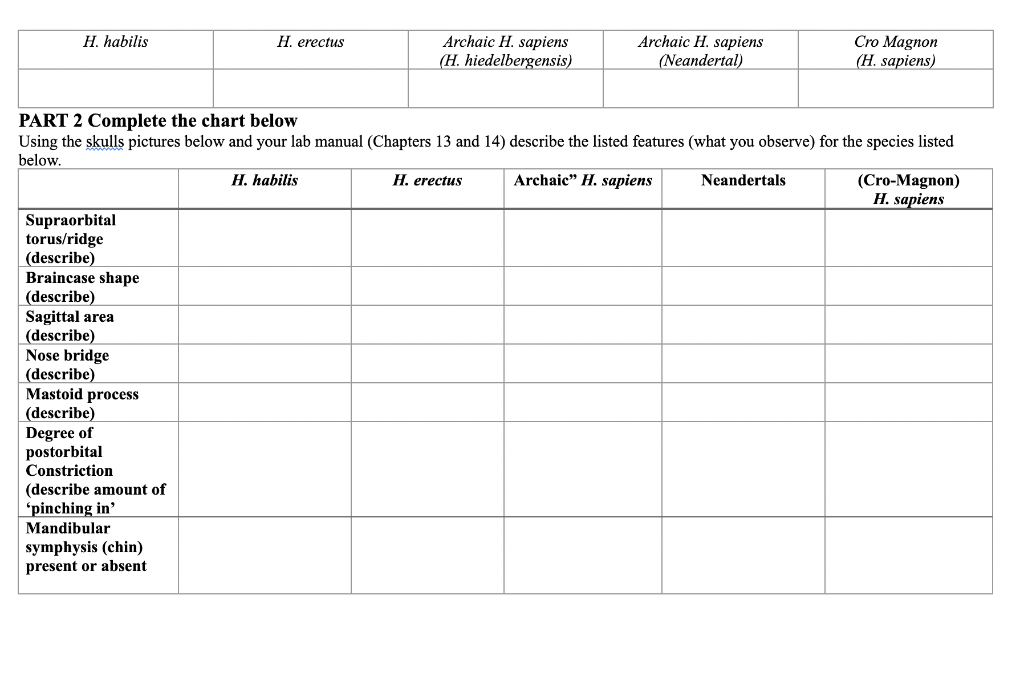 Genus Homo comparison Part 1: Complete the chart | Chegg.com