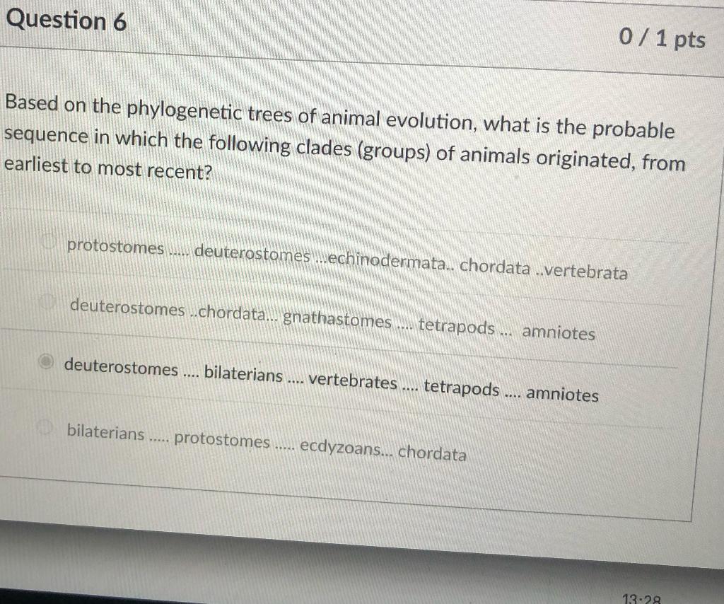 Solved A coelom supports internal organs functions as the | Chegg.com