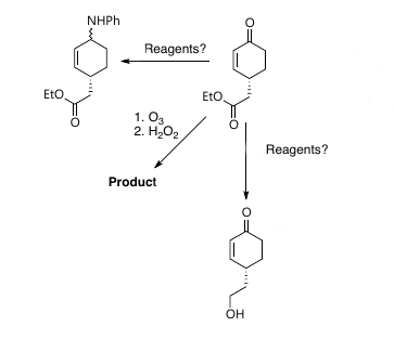 Solved and in the heck coupling reaction how does the ease | Chegg.com