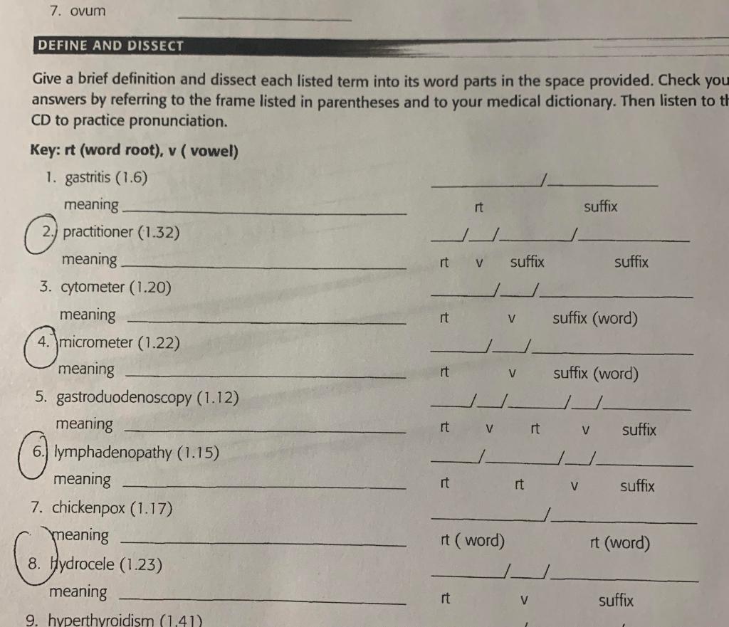 Solved 7. ovum DEFINE AND DISSECT rt V suffix rt V Give a | Chegg.com
