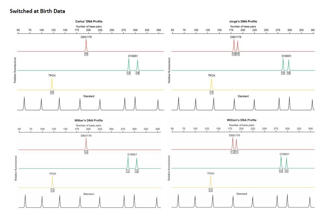STR allele present in the DNA profiles above | Chegg.com