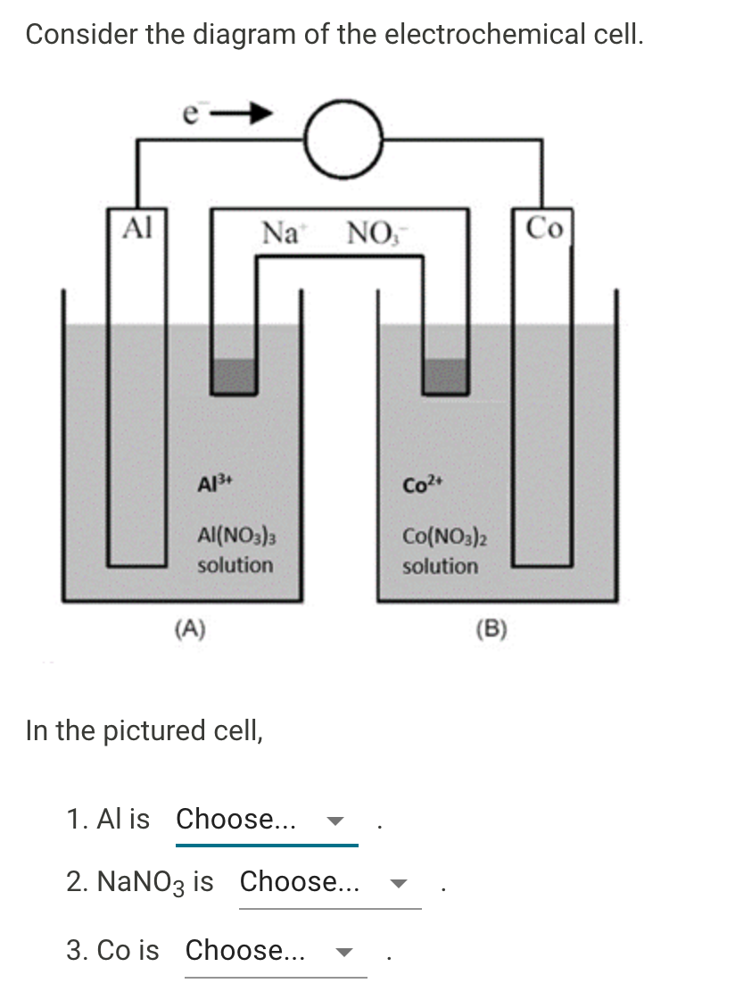 Solved Consider the diagram of the electrochemical cell. In | Chegg.com