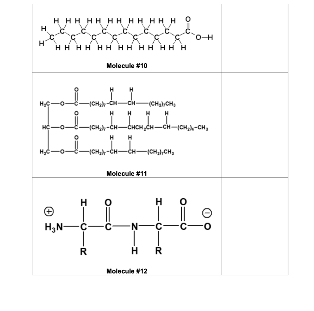 Solved BIOCHEMICAL MOLECULES - STRUCTURE AND FUNCTION ENTER | Chegg.com