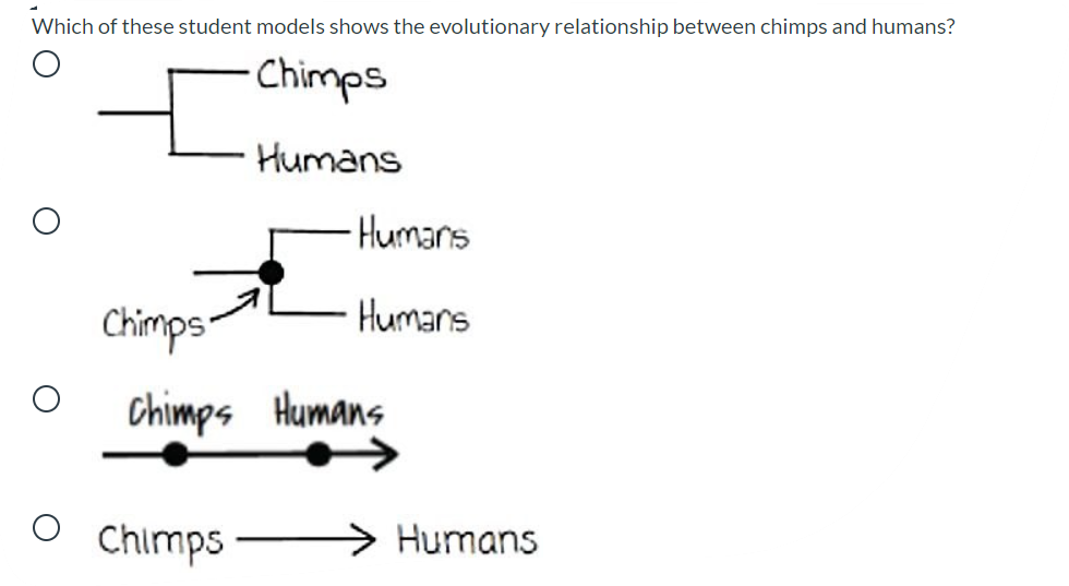 solved-this-chegg-prompt-has-two-parts-6-5-a-good-rating-chegg
