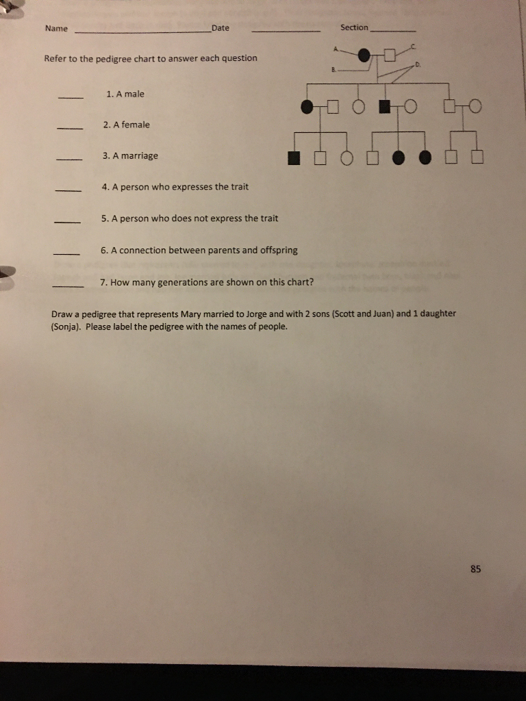 Solved Name Date Section Refer to the pedigree chart to | Chegg.com