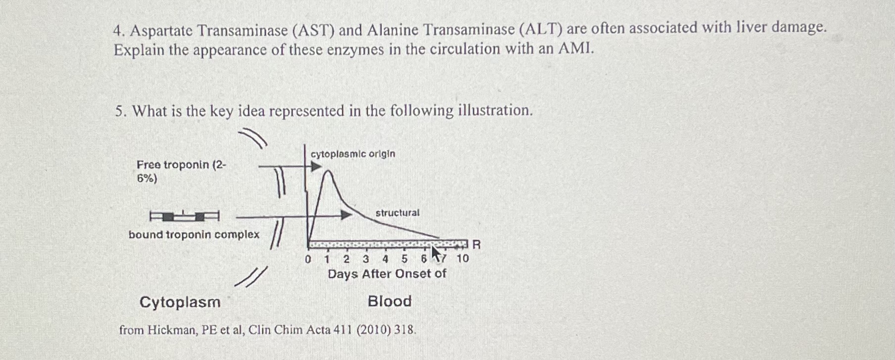 Solved 4. Aspartate Transaminase (AST) and Alanine | Chegg.com