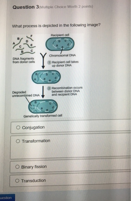Solved Question 3(Multiple Choice Worth 2 points) What | Chegg.com