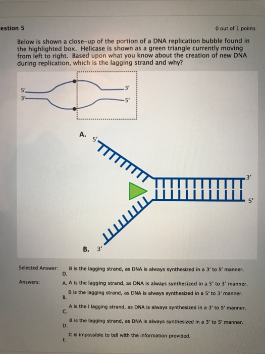 Solved estion 5 0 out of 1 points Below is shown a close-up | Chegg.com Solved estion 5 0 out of 1 points Below is shown a close-up | Chegg.com