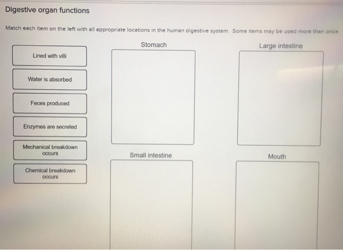 Solved Digestive organ functions Match each item on the left | Chegg.com