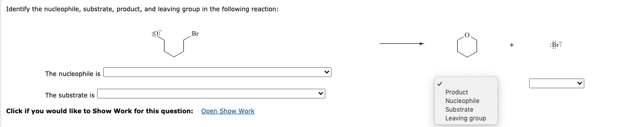 Solved Options for the right side^ (both questions on the | Chegg.com